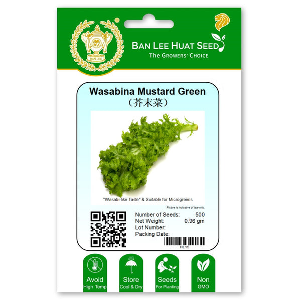 Wasabina Mustard Green – Ban Lee Huat Seed