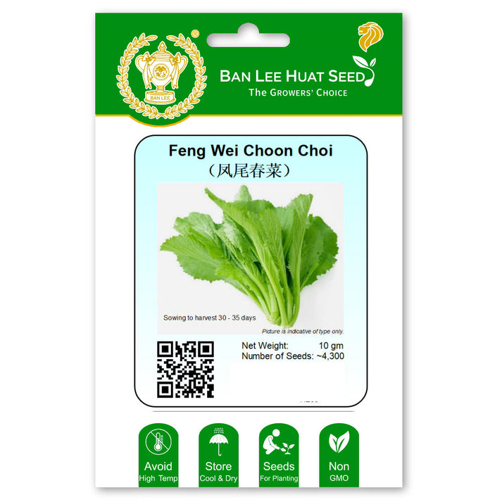 Feng Wei Choon Choi Seed Pack – Ban Lee Huat Seed
