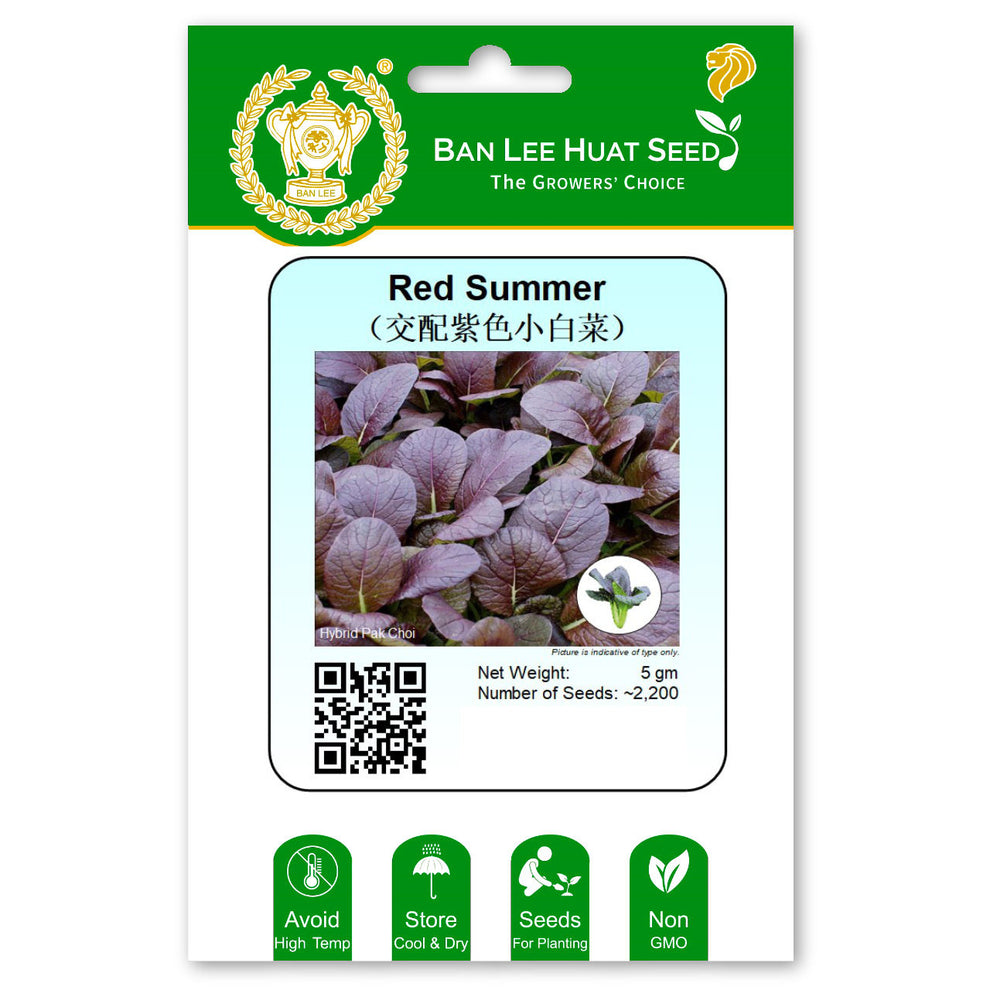 Red Summer F1 Pak Choi Seed Pack – Ban Lee Huat Seed